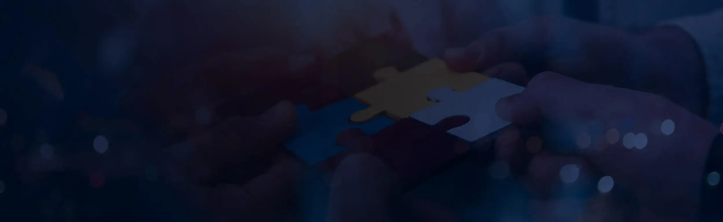 Associated Companies – FTMM